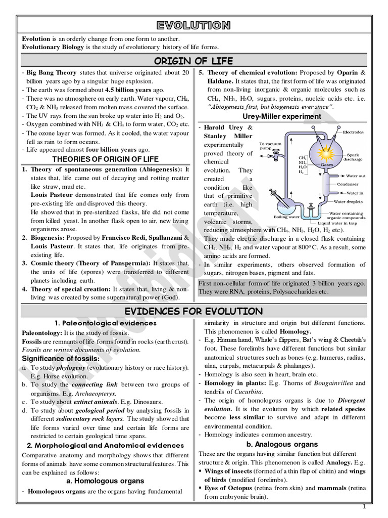 7 Evolution-Notes | PDF | Natural Selection | Evolution