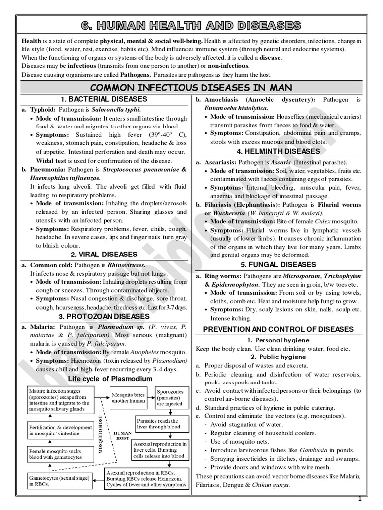 8 Human Health N Disease-Notes | PDF | Immune System | Adaptive Immune ...