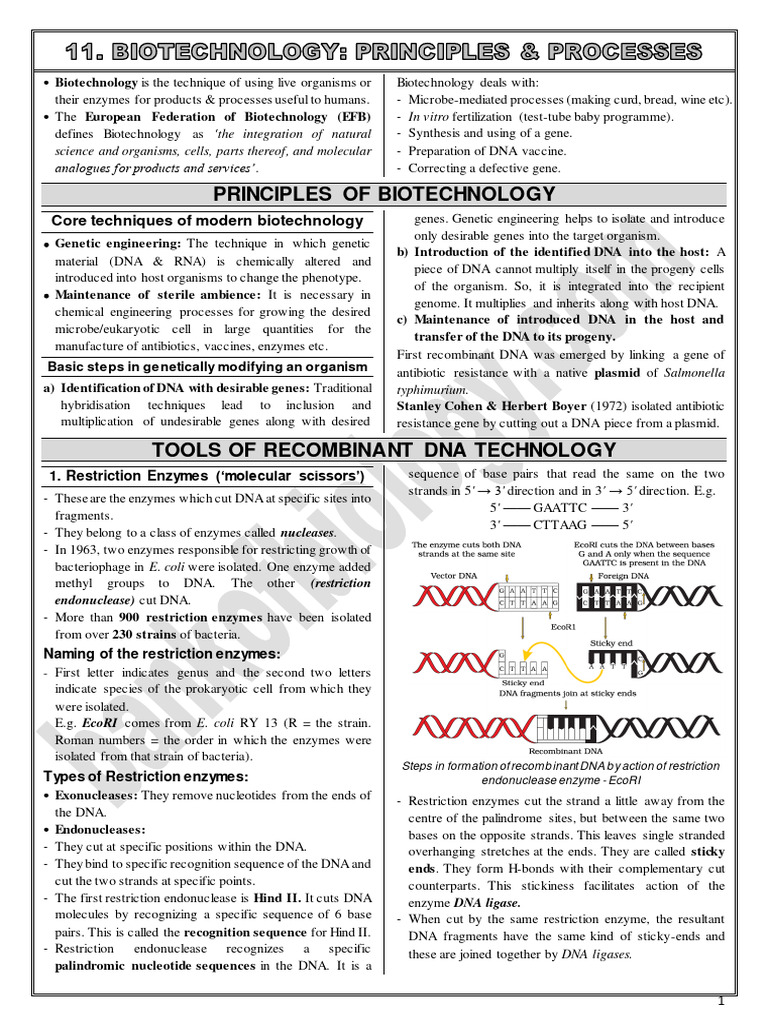 Principles of Biotechnology Explained | PDF | Restriction Enzyme ...