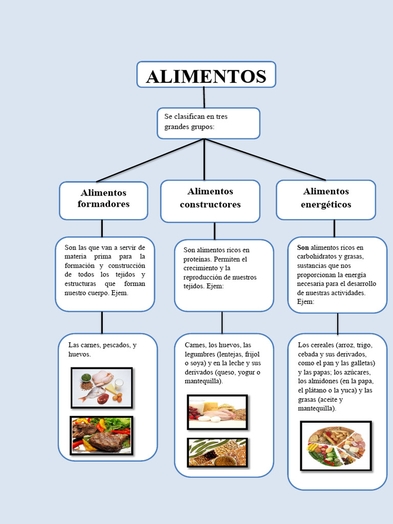 Clasificación de Alimentos Esenciales | PDF