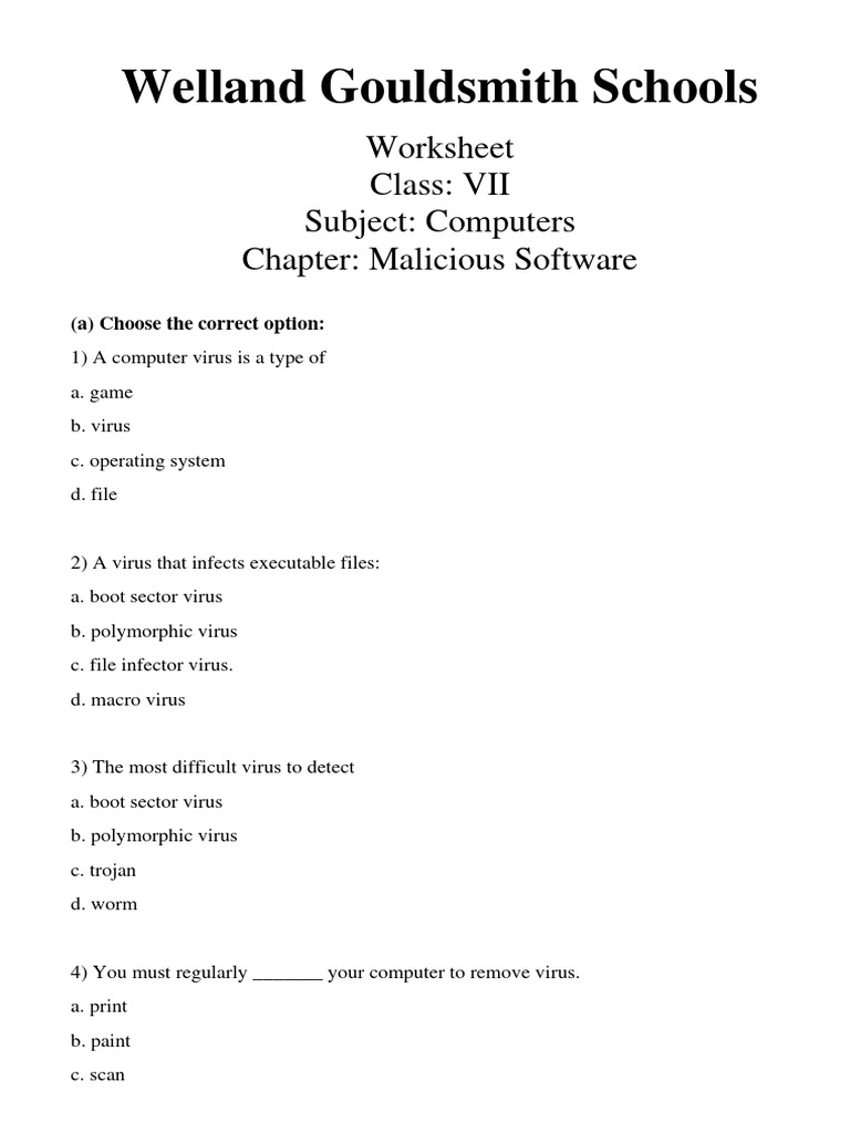 Class VII Computer Virus Worksheet | PDF