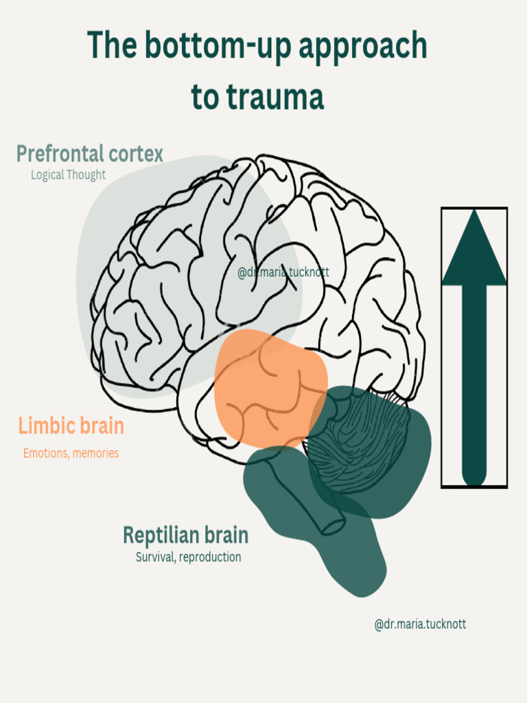 Bottom Up Approach To Trauma 1718606183 | PDF | Self-Improvement