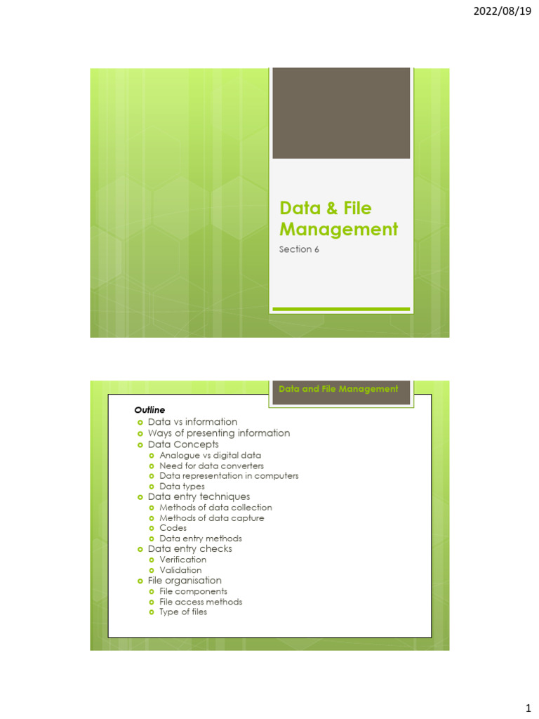 Section6_DataAndFileManagement | PDF | Data | Information