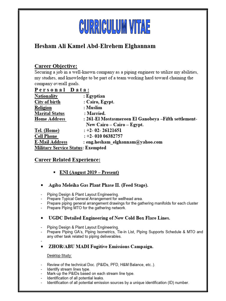 Hesham ELghannam CV PDF | PDF | Firefighting