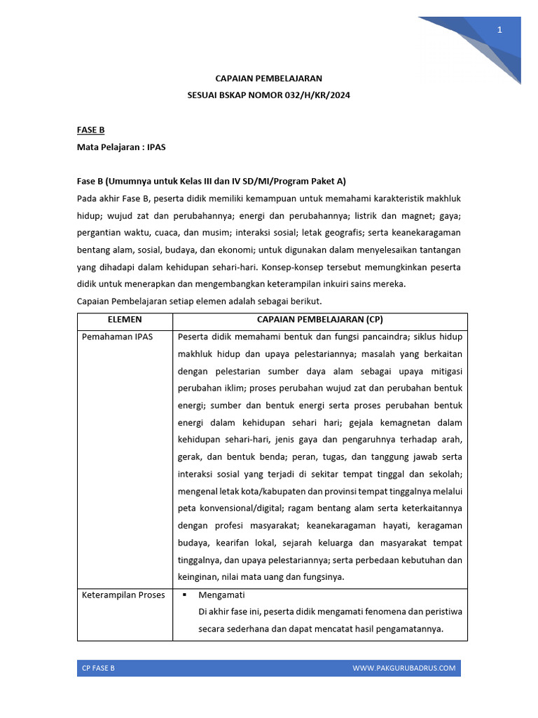 CP Ipas Fase B | PDF