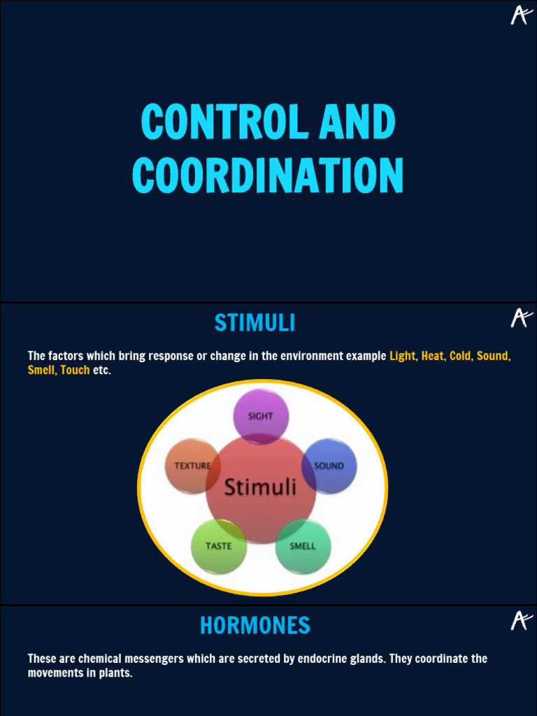 Control and Coordination | PDF | Plant Hormone | Central Nervous System