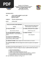 Final Fire Investigation Report Template | PDF | U.S. Securities And ...