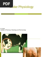Udder Anatomy and Milk Production Insights | PDF | Lactation ...