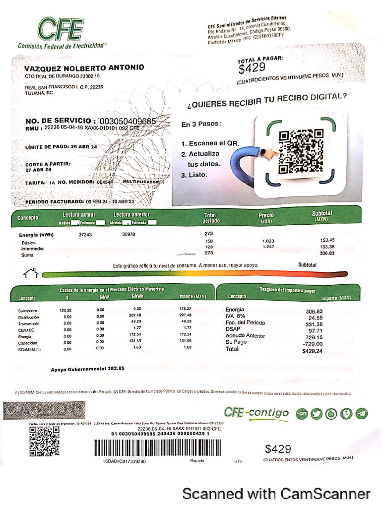 Comprobante CFE | PDF