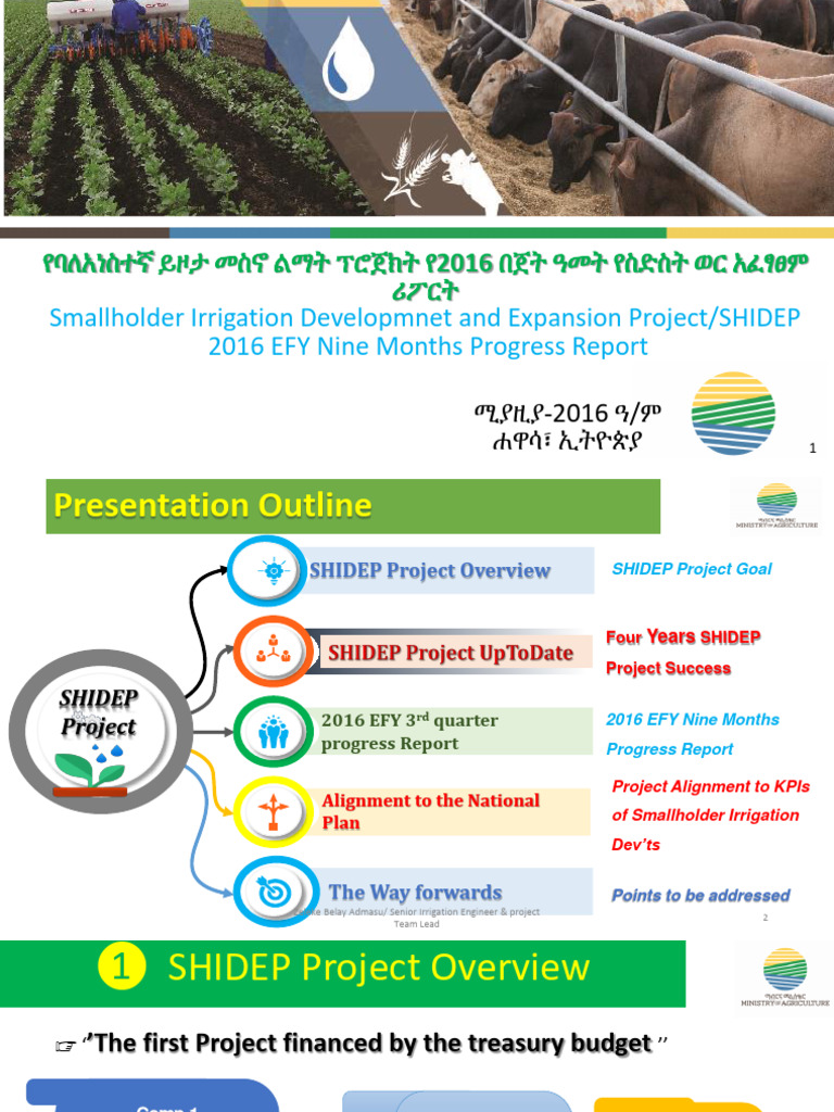 Smallholder Irrigation Progress Report | PDF | Irrigation | Economies