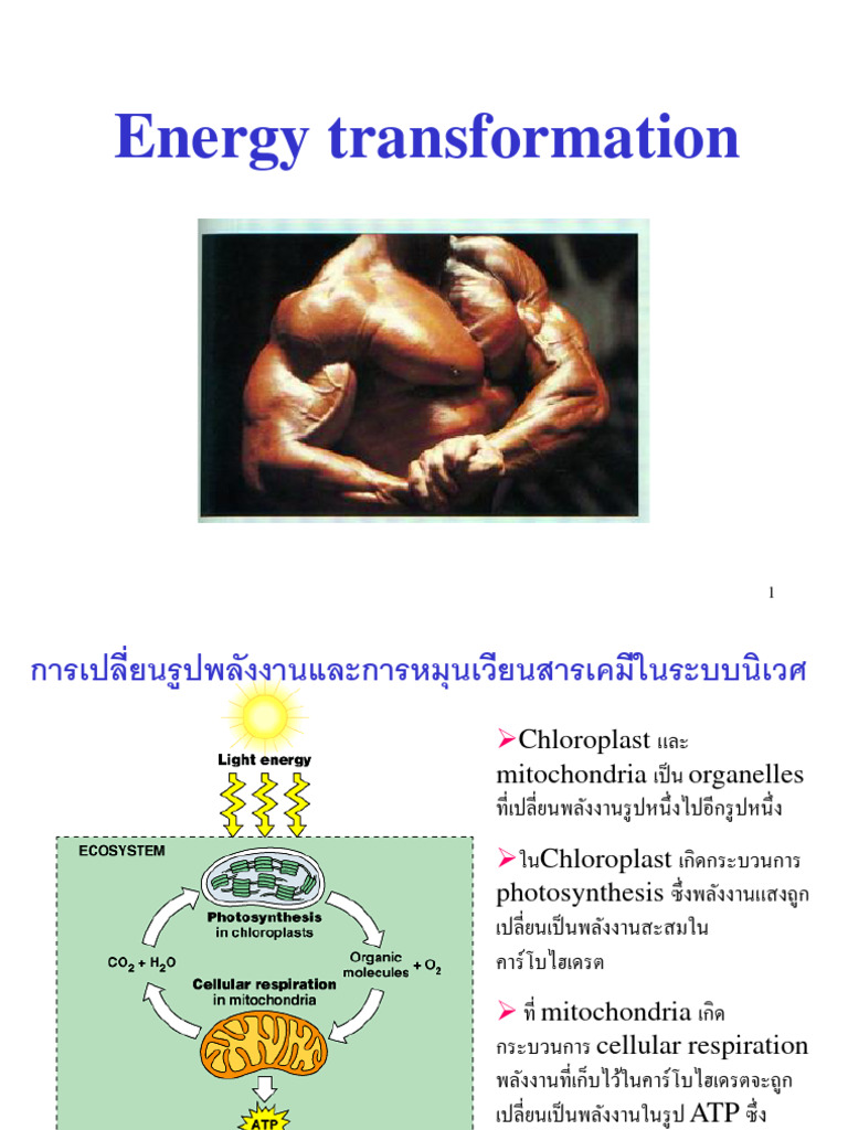 Energy Transformation | PDF