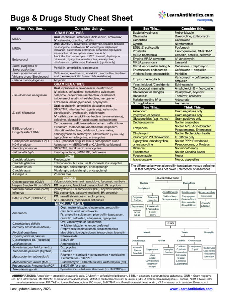 Bugs and Drugs Cheat Sheet Jan 2023 | PDF | Staphylococcus Aureus | Beta Lactamase