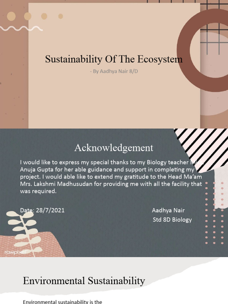 Sustainability of The Ecosystem | PDF | Sustainability | Ecosystem