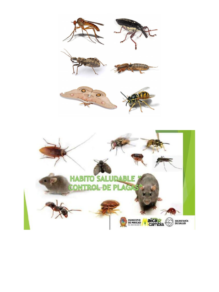 Animales Perjudicales y Benef | PDF