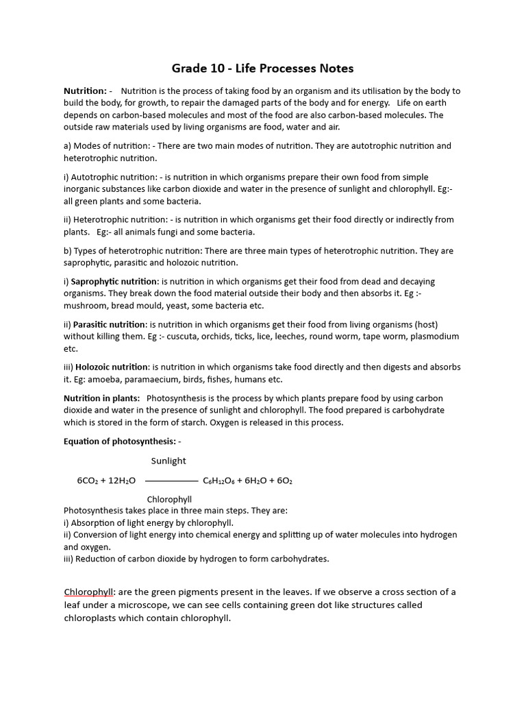 Grade 10 - Life Processes Notes | PDF | Cellular Respiration | Atrium ...