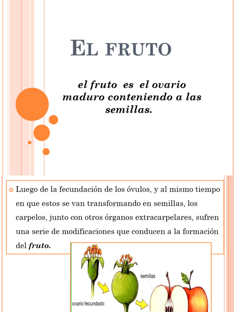 Tema 9 Fruto 2024 | PDF