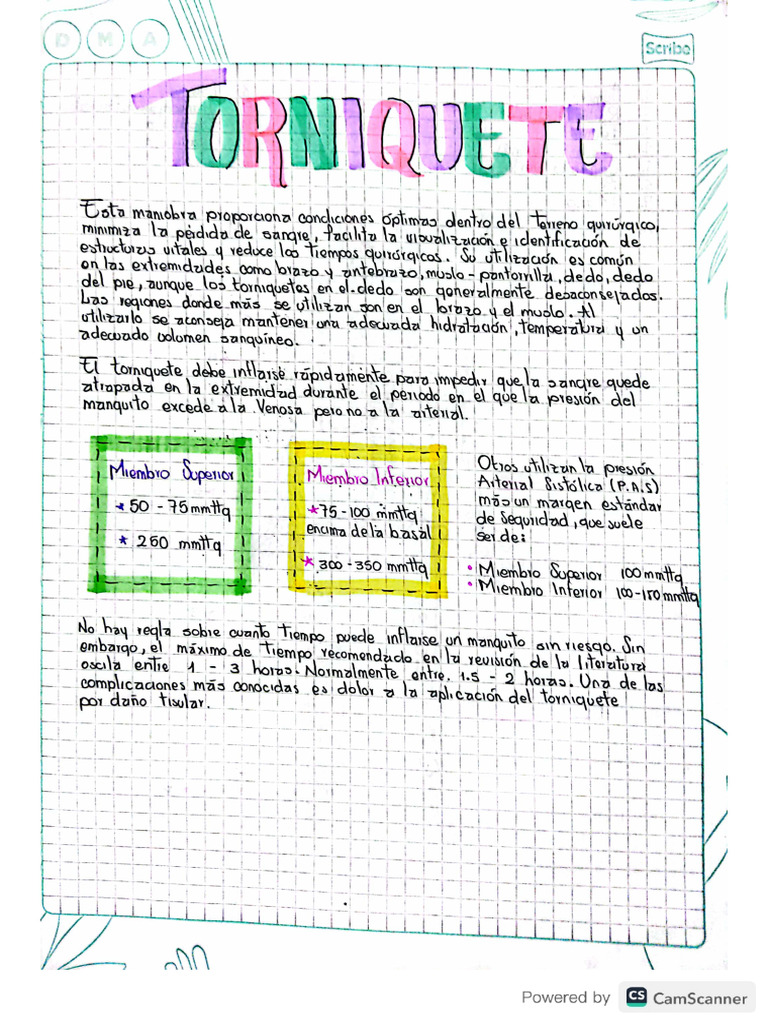 Torniquete Ortopedia | PDF