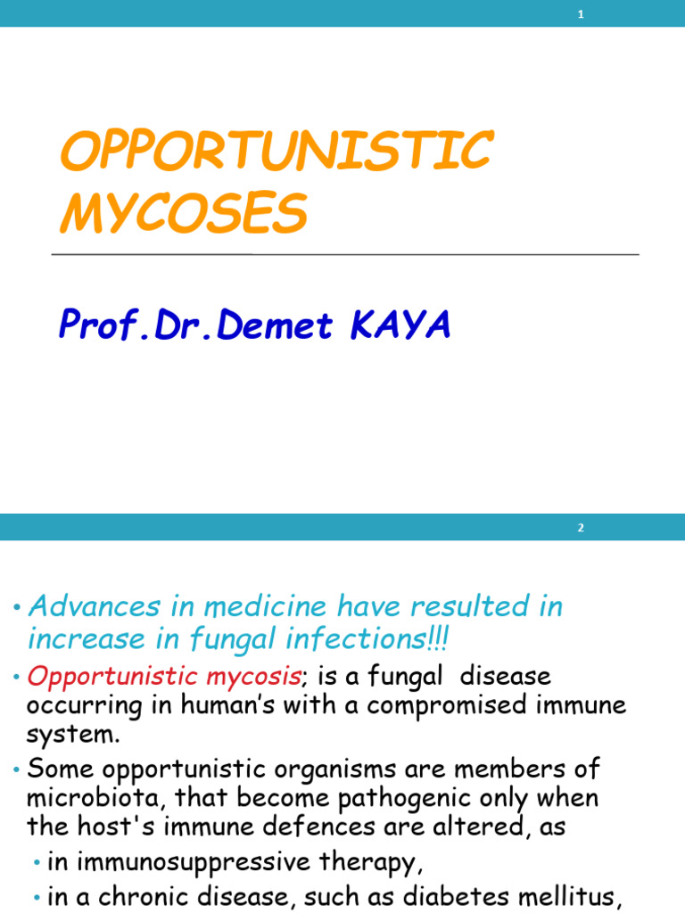 Opportunistic Mycoses Overview | PDF | Candidiasis | Candida (Fungus)
