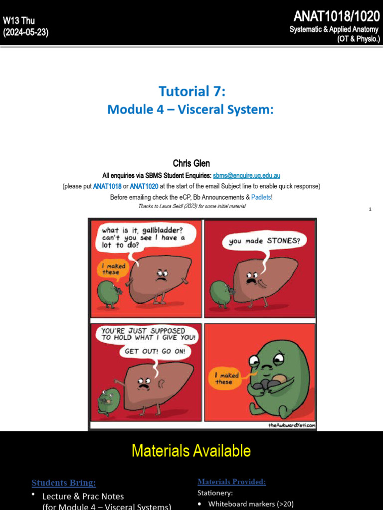 T07 ANAT1018-1020 2024-S1 VISCERA Student | PDF | Heart Valve | Lung