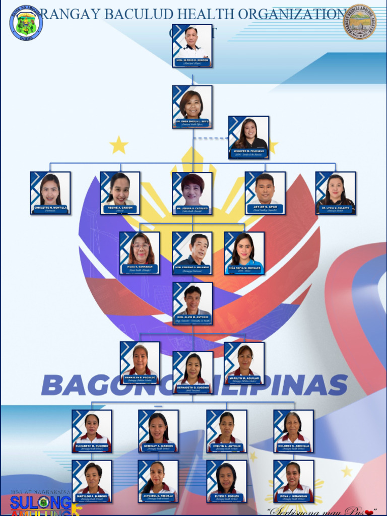 Barangay Baculud Health Organizational Chart | PDF | Wellness