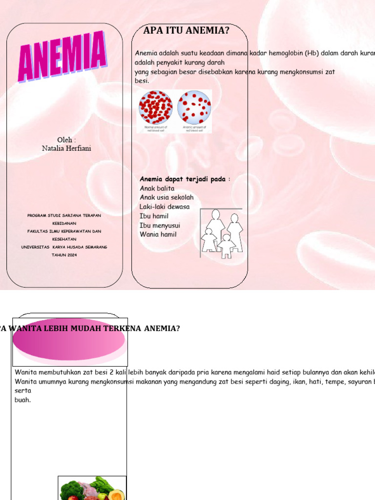 Leaflet Anemia Bu Natalia | PDF