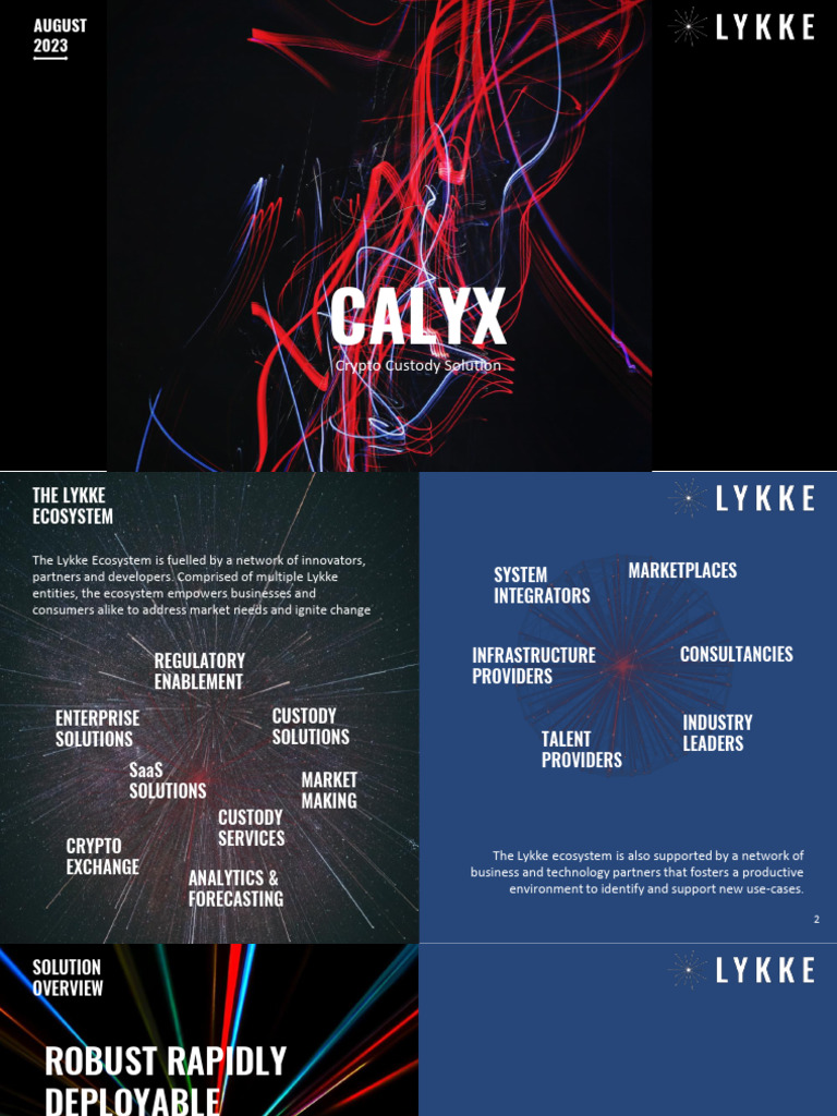 2023 CALYX - Self Custody | Download Free PDF | Cryptocurrency ...