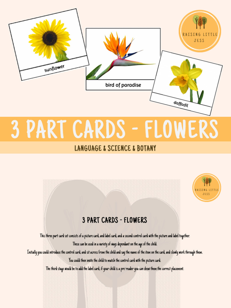 3-Part Flower Cards for Kids | PDF
