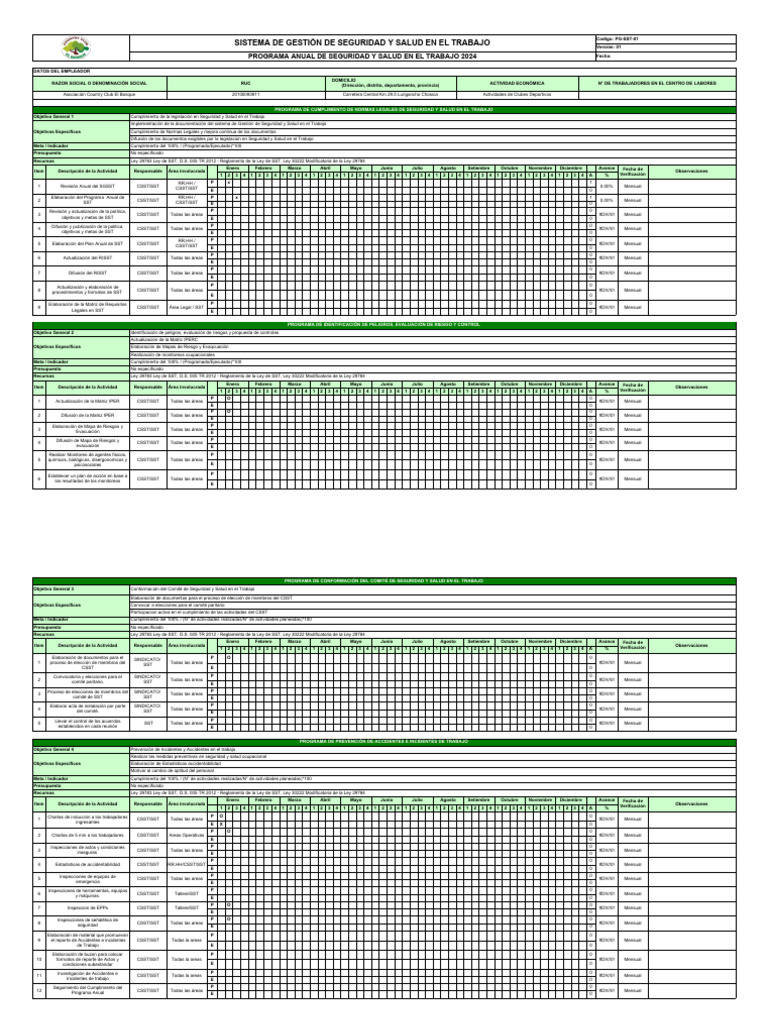 Programa Anual de SST 2024-1 | PDF