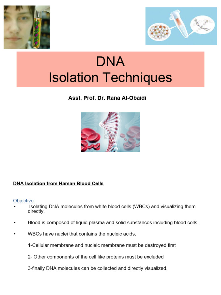 DNA Extraction From Blood and Saliva | PDF | Cell Membrane | Lysis