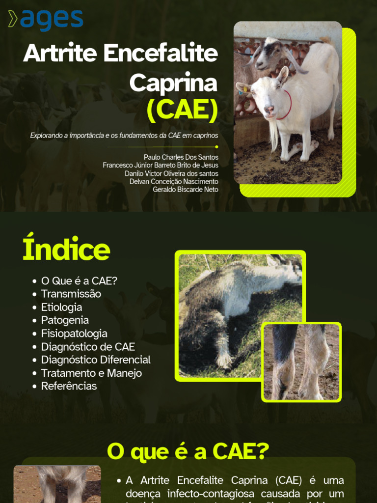 Artrite Encefalite Caprina: Diagnóstico e Manejo | PDF | Vírus | Artrite