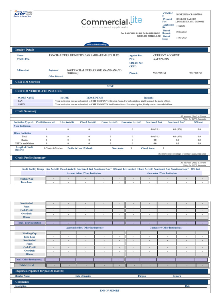 Crif Report 2023031403112313 | PDF
