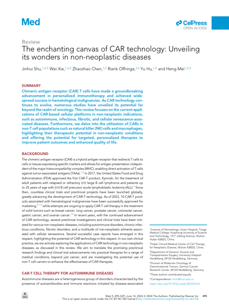The Enchanting Canvas of CAR Technology Unveiling | PDF | Phases Of ...