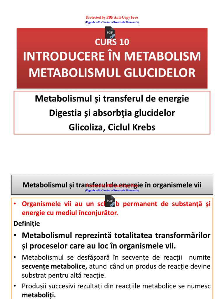 CURS 10 Metabolismul Glucidelor | PDF | Computer File Formats | Software