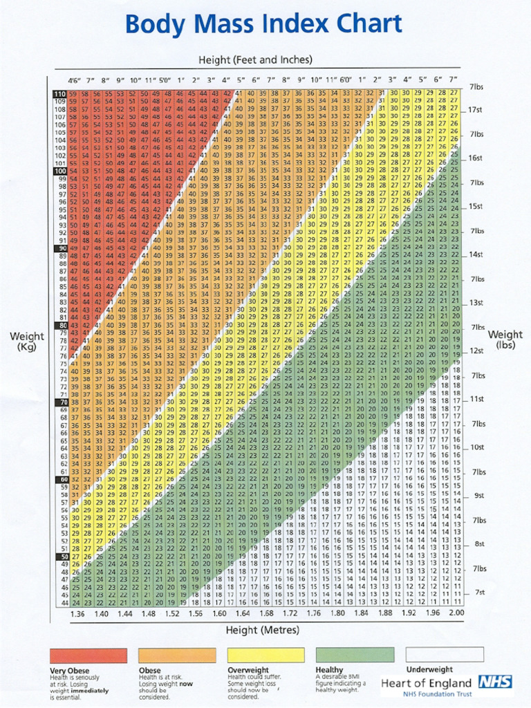 Bmi Chart | PDF
