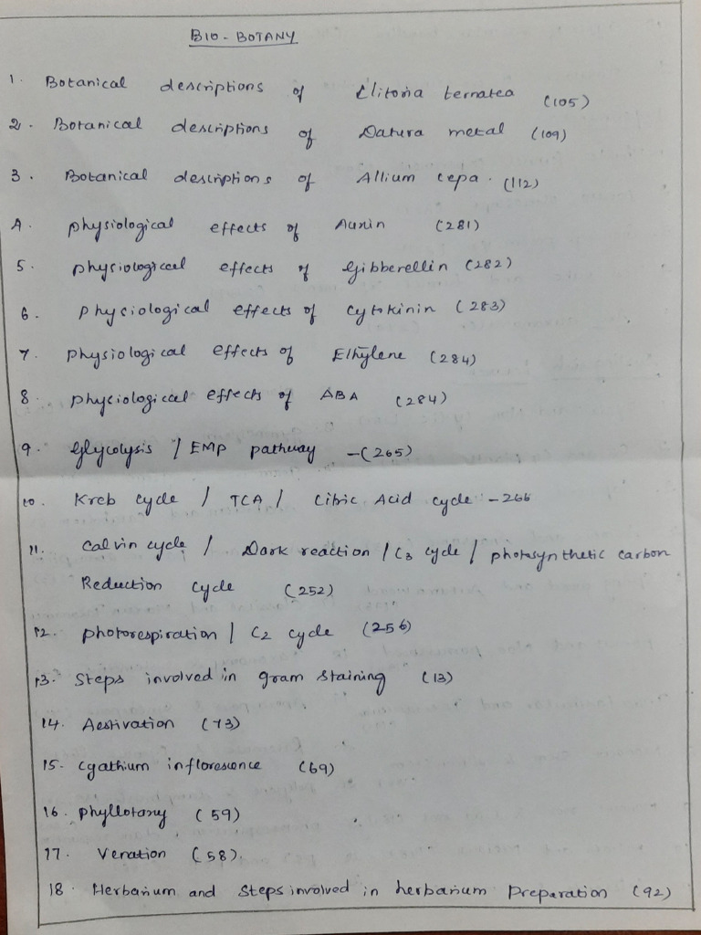 XL Bot - 5 Marks | PDF