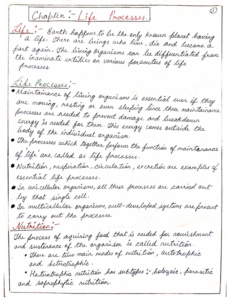Chapter 6 - Life Processes | PDF
