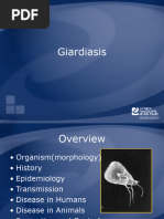 Cyniclomyces Guttulatus | PDF | Pathology | Dogs