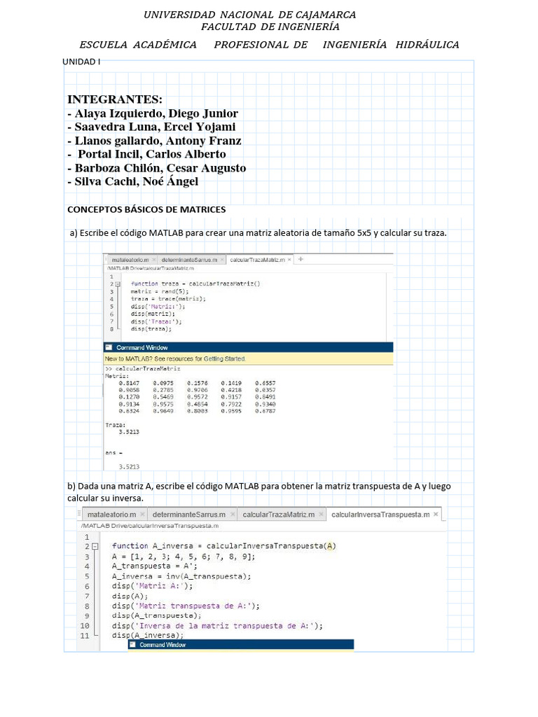 Algoritmos de Matrices en MATLAB | PDF | Matriz (Matemáticas) | Sistema de ecuaciones lineales