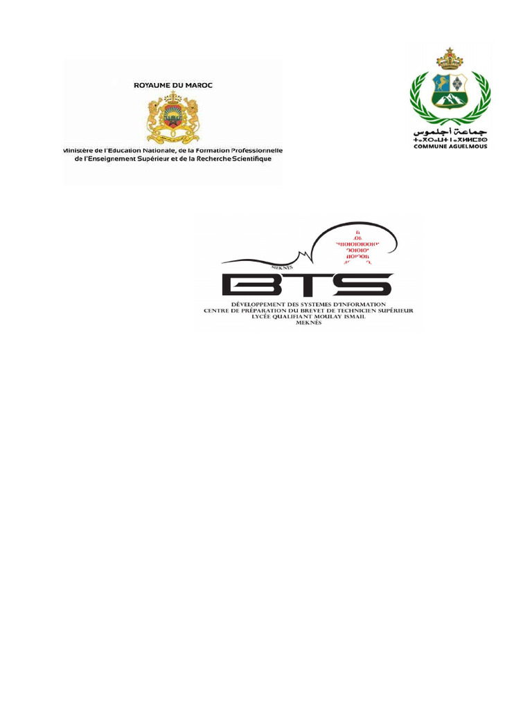 Logo Bts Dsi | PDF