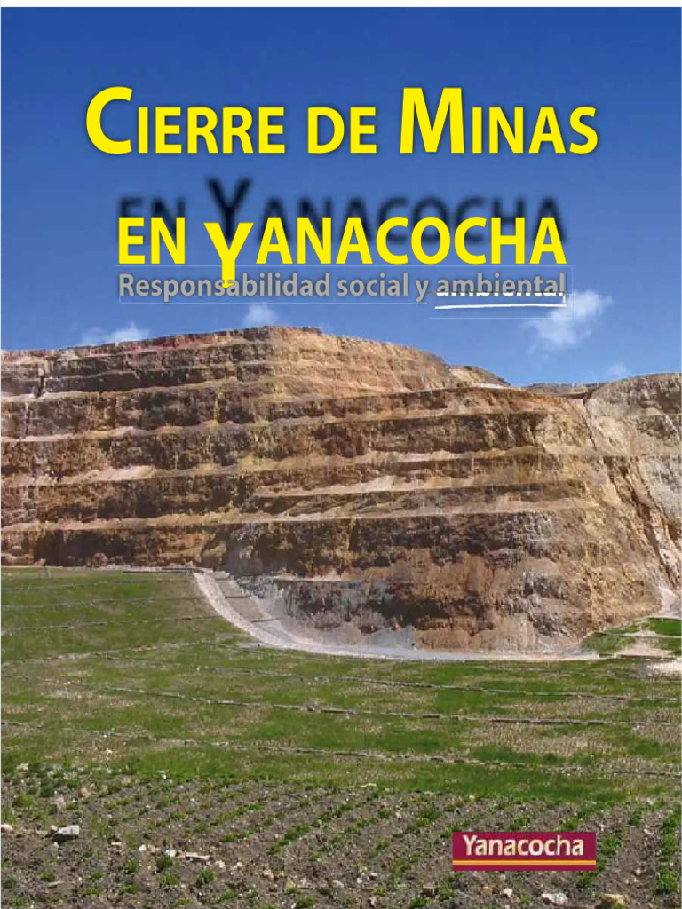 PDF Estudio de Caso Yanacocha - Compress | PDF
