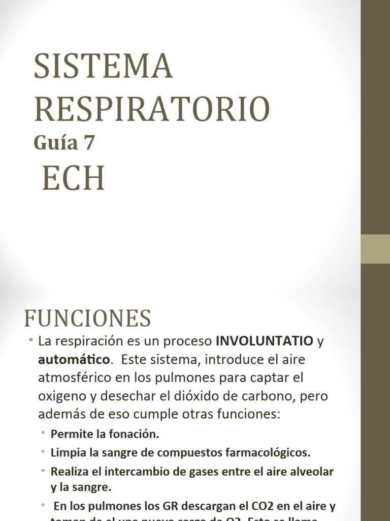 7° Guía Respiratorio ECH (1) | Descargar gratis PDF | Pulmón | Sistema respiratorio