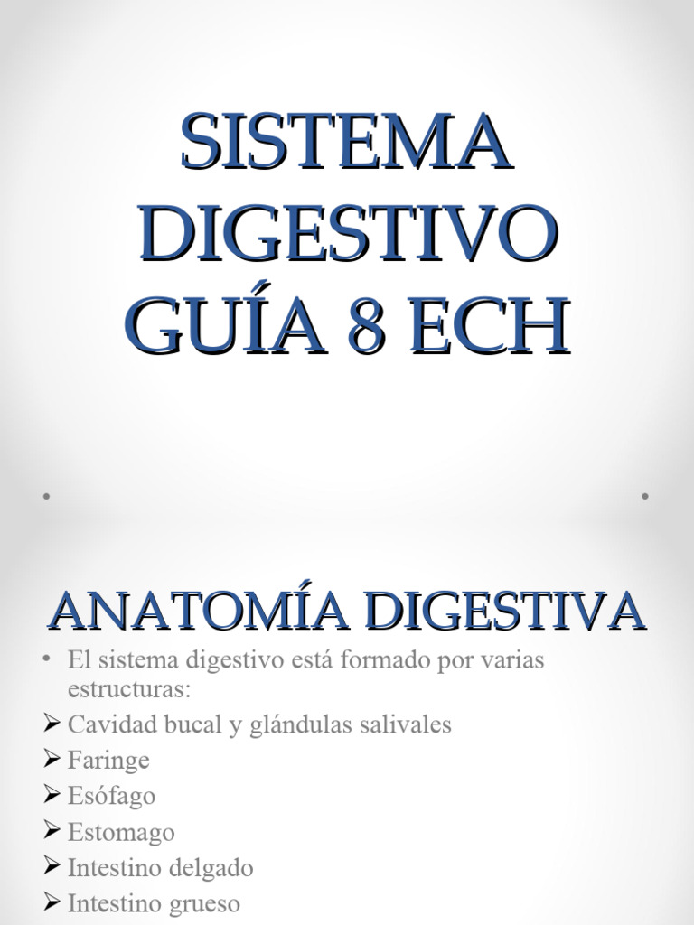 Anatomía y Funciones del Sistema Digestivo | PDF | Digestión | Sistema ...