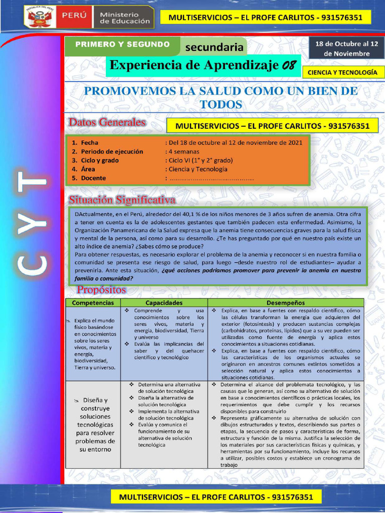 Experiencia de Aprendizaje 8 - Ciclo Vi - Primero y Segundo - Cyt - 1 | PDF