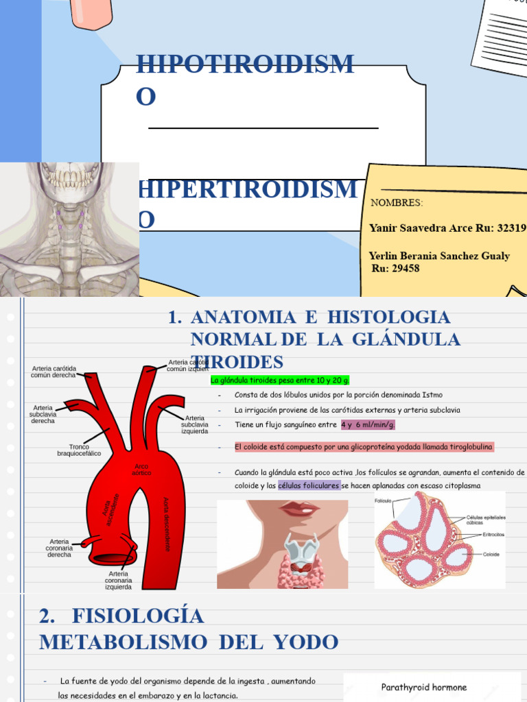 HIPOTIROIDISMO HIPERTIROIDISMO TIROIDES | PDF | Tiroides | Hipertiroidismo