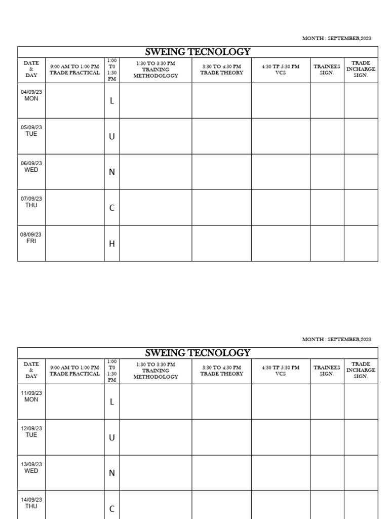 DAILY DIARY FORMAT | PDF