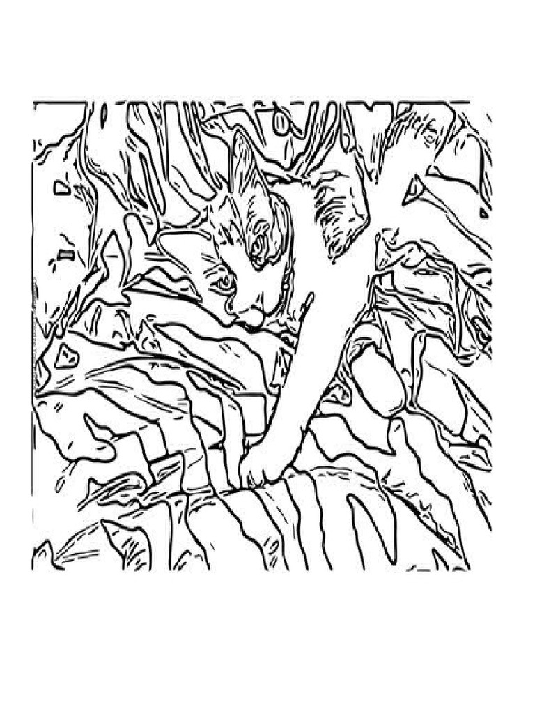 Camouflage Colouring | PDF