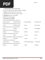 Worksheet - Parts of A Plant - Answer Key | PDF | Leaf | Plants
