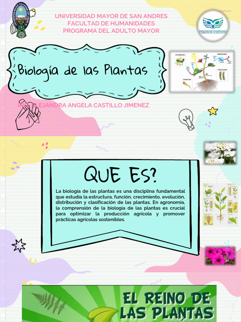 5. Biologia de Las Plantas (2) | PDF | Plantas | Raíz