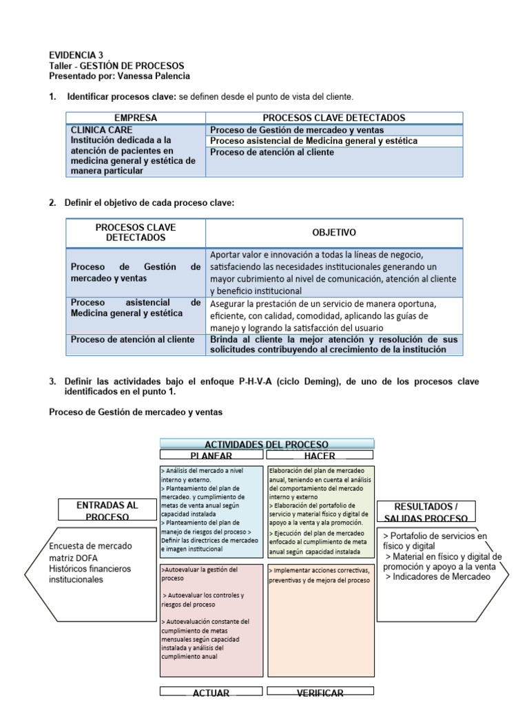 EVIDENCIA 3 Formato - Gestion - Procesos | PDF | Marketing | Calidad (comercial)