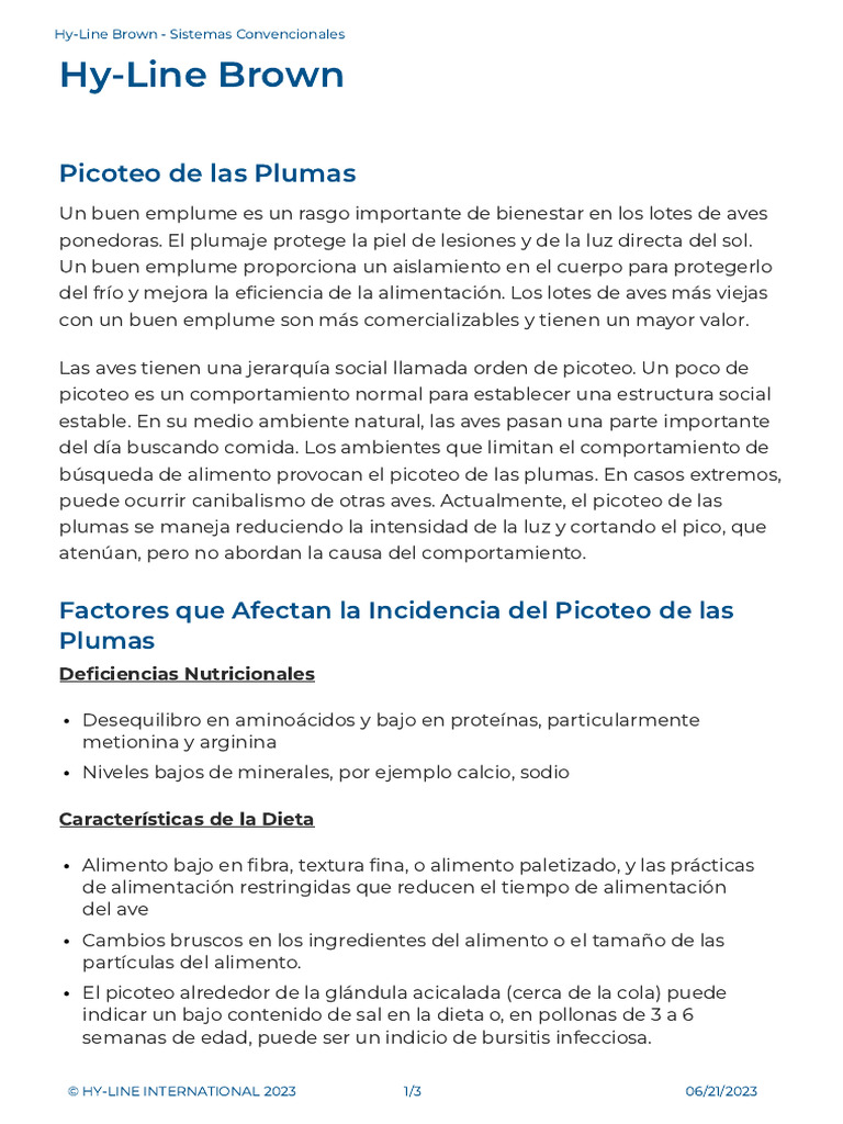 Hy-Line Brown Sistemas Convencionales Español | PDF | Alimentos | Aves